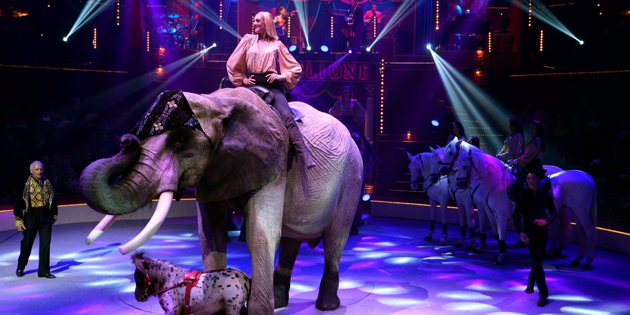 Après 146 ans, le cirque Barnum ferme ses portes