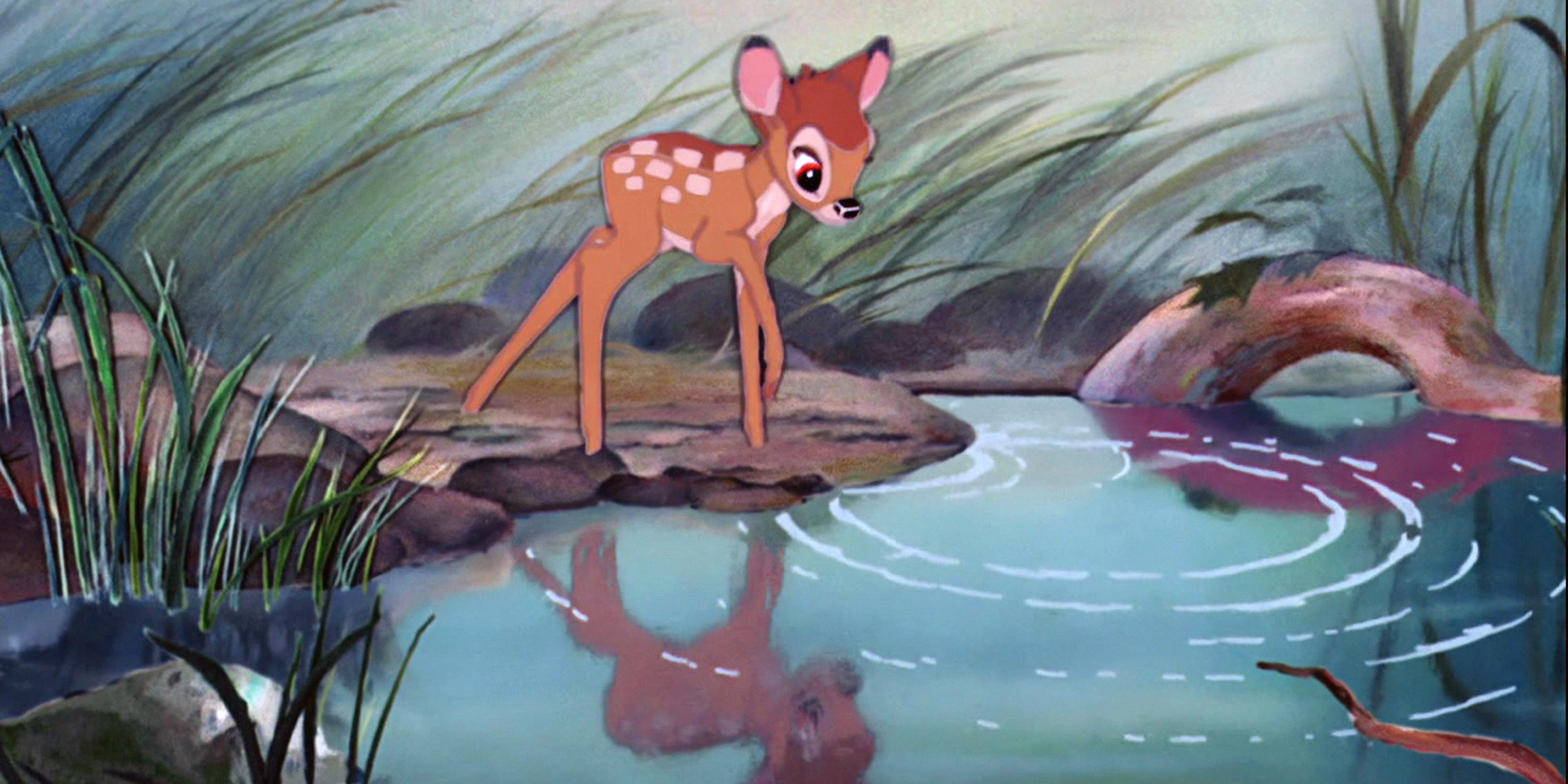 Bambi fête ses 100 ans : que se cache-t-il derrière le visage du ...