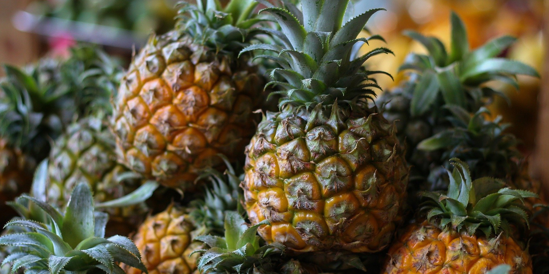 Le récolter, le choisir et le cuisiner : tous les secrets de l'ananas ...