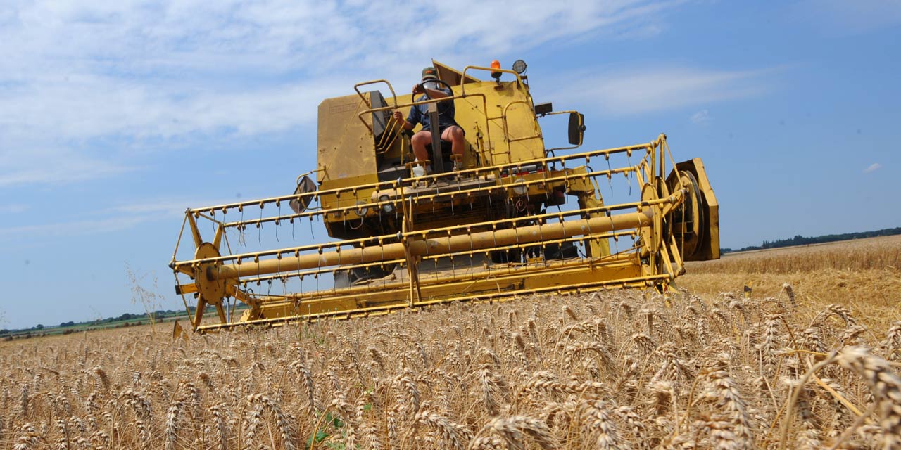 Moisson catastrophique : "même les anciens n’ont jamais vu ça"