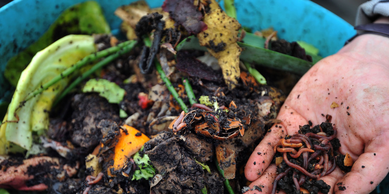 Comment bien choisir votre engrais