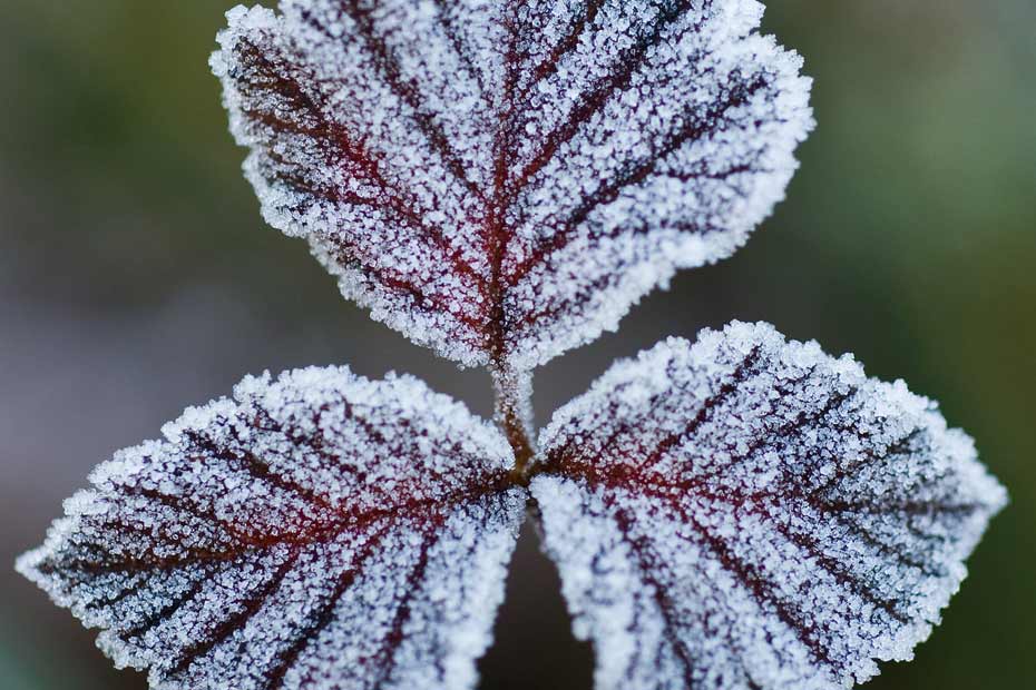 Les vertus du dégel