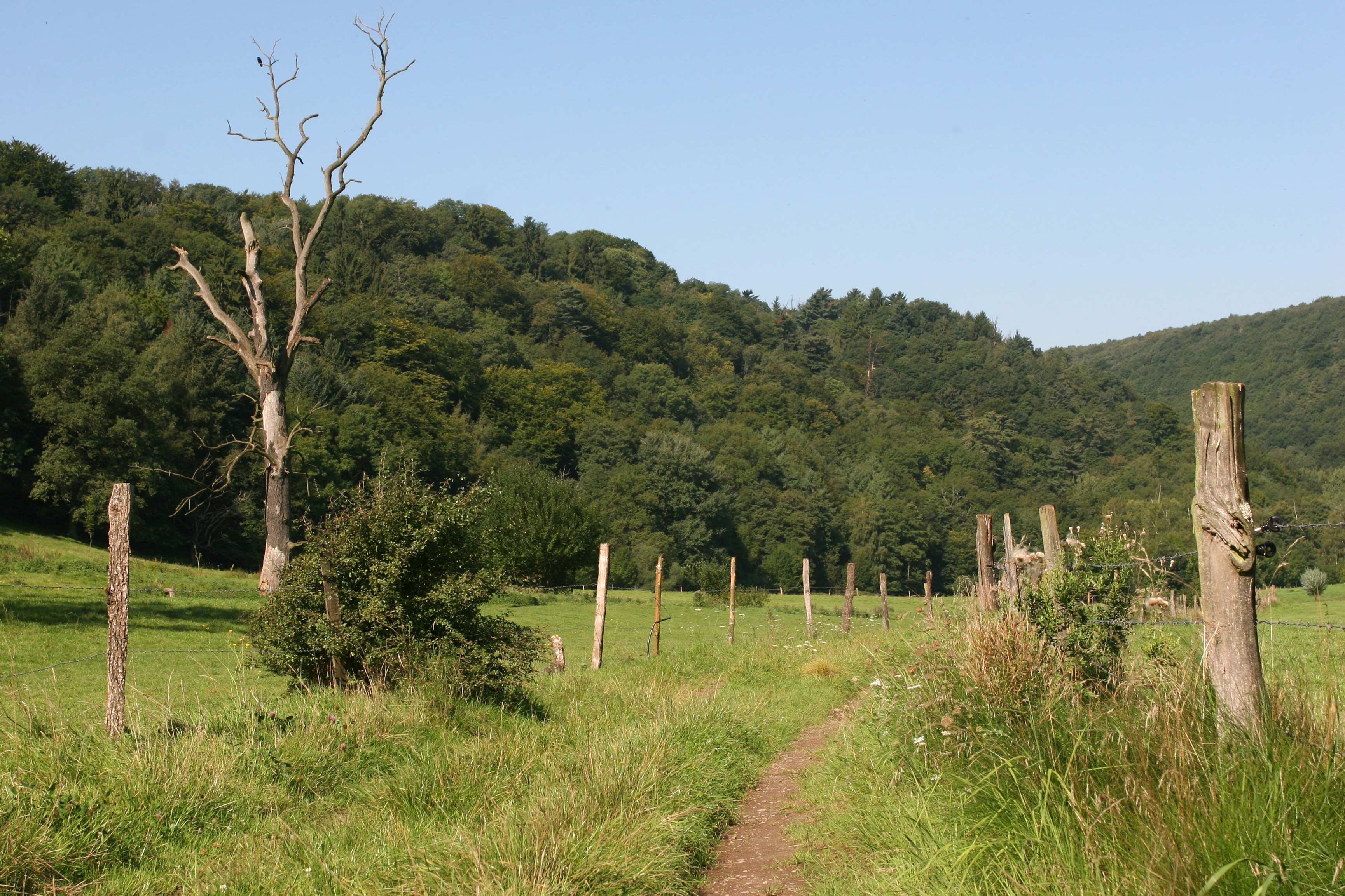 La magie des chemins de campagne