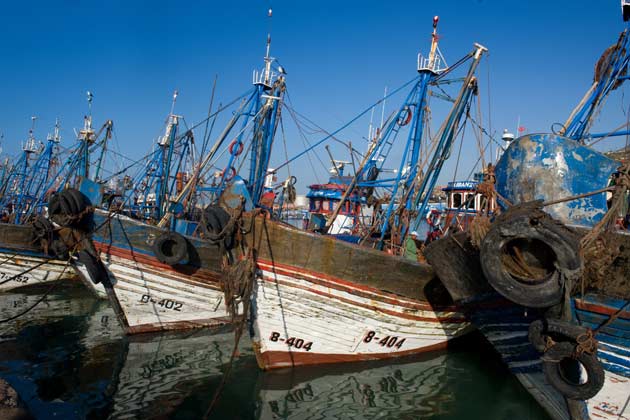 Zoom sur la pêche à la Légine