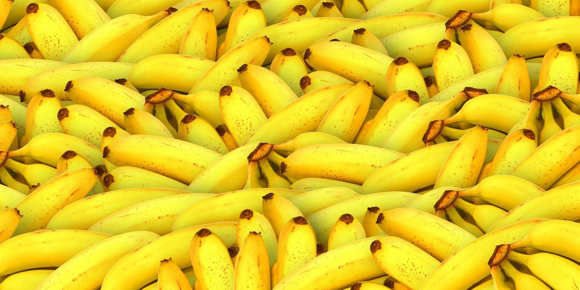 Les origines de la banane