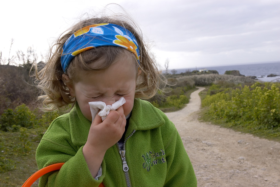 Pourquoi a-t-on le nez qui coule