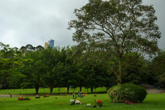 Micho, Georges et Ayrton