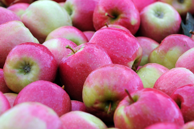 Le prix des pommes à la hausse