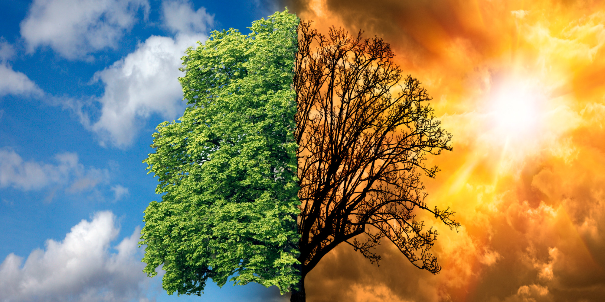 Des chercheurs s'alarment d'une accélération «sans précédent» du ...