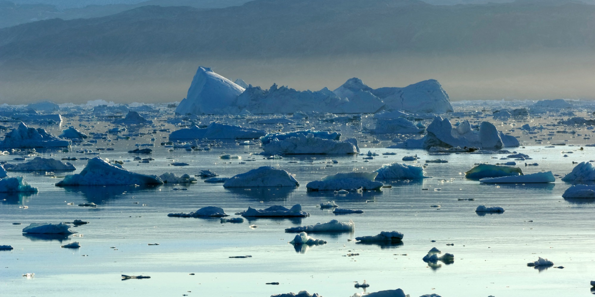 One Planet Polar Summit : la France victime de la fonte des glaces à la ...