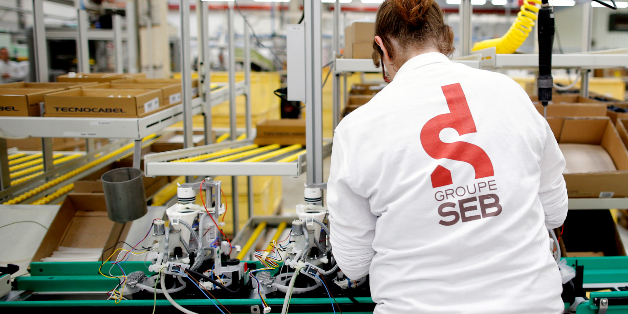 Eternal pollutants: SEB “reassured” that its products have been ...