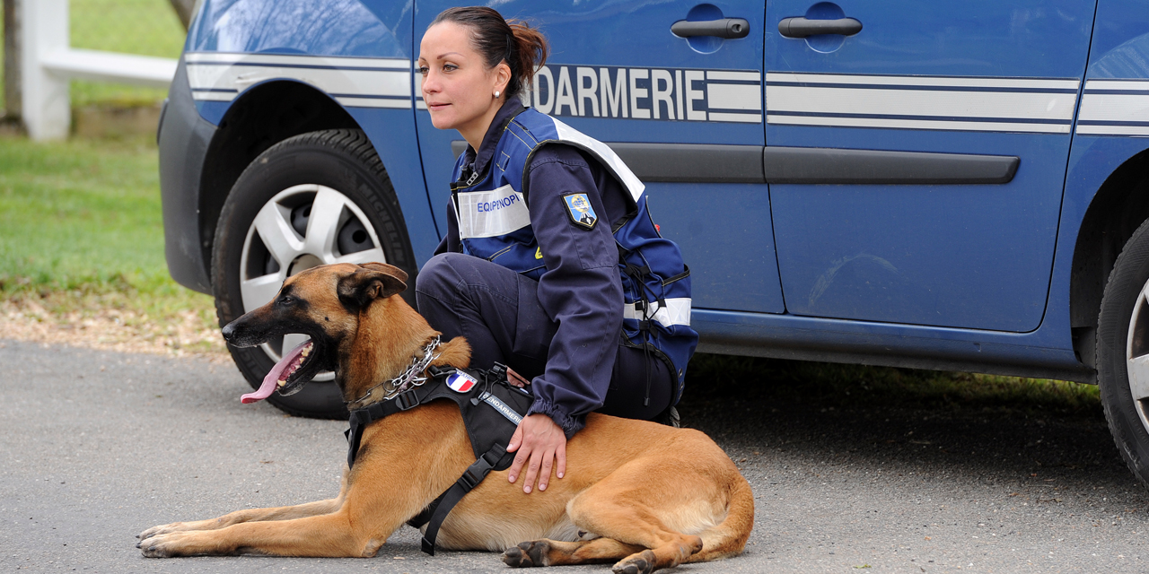 Aude : six jeunes filles perdues retrouvées grâce au flair d'une ... Aude : six jeunes filles perdues retrouvées grâce au flair d'une ...