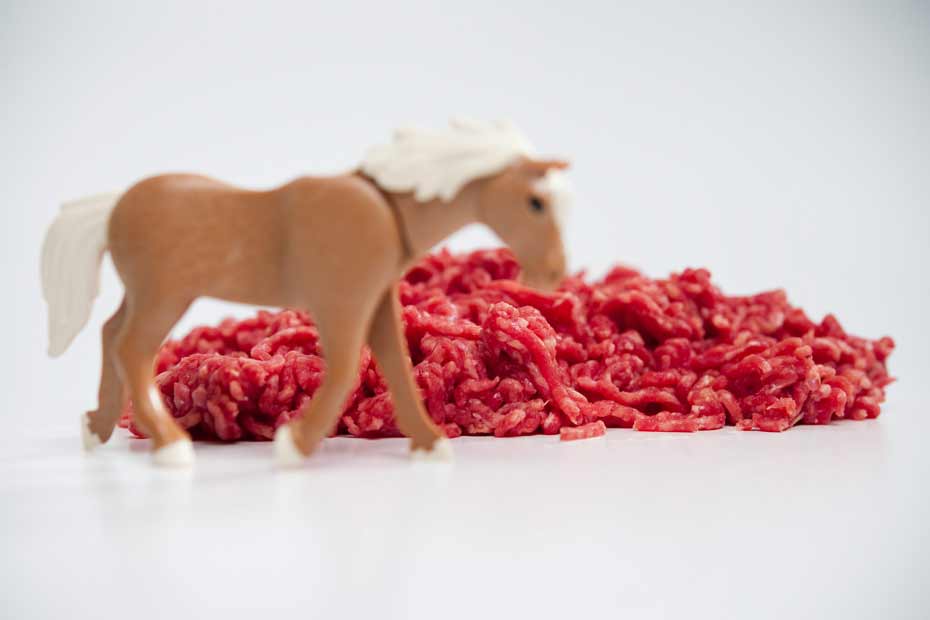 Comment la viande de cheval est passée des laboratoires aux abattoirs