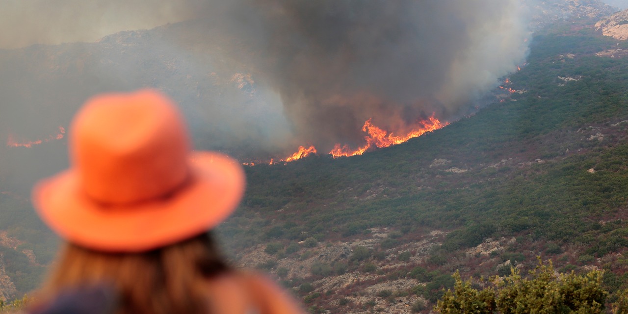 Corse : un pyromane condamné à un an de prison ferme