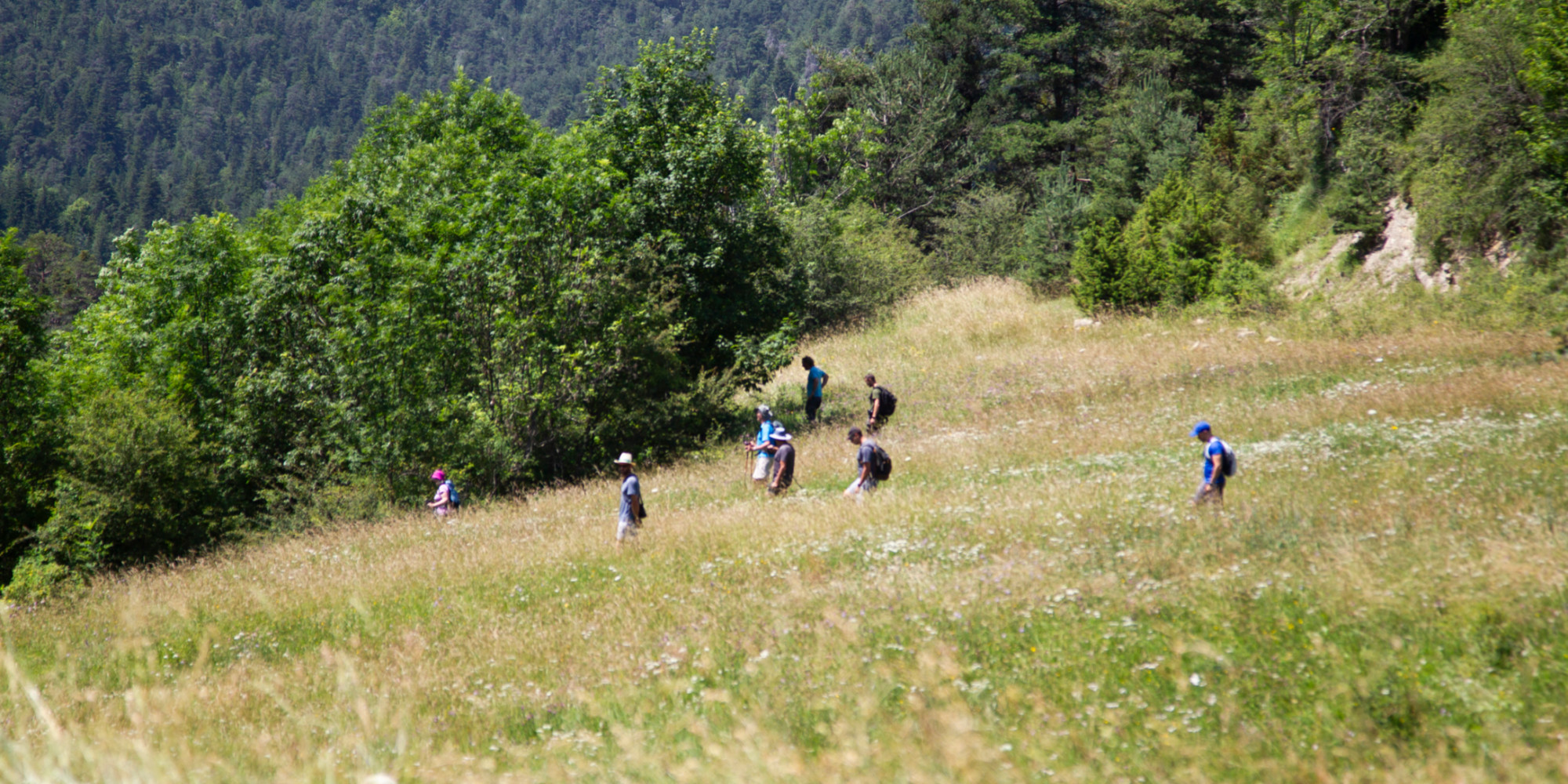 Race against time to find little Emile in the Alpes-de-Haute-Provence ...