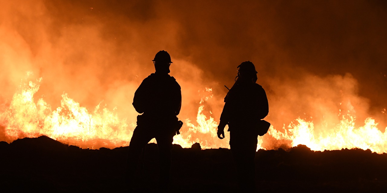 Rare feu de forêt dans le Nord, 5 hectares brûlés