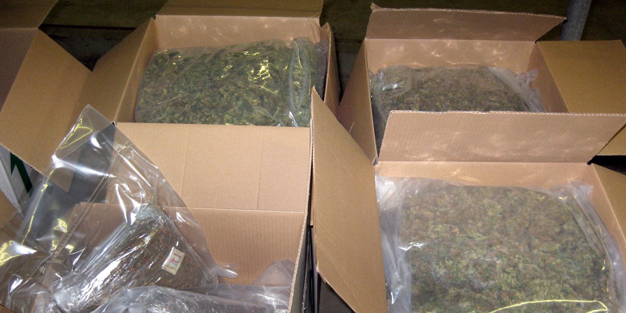 Saisie de 464,5 kilos de cannabis près de Narbonne