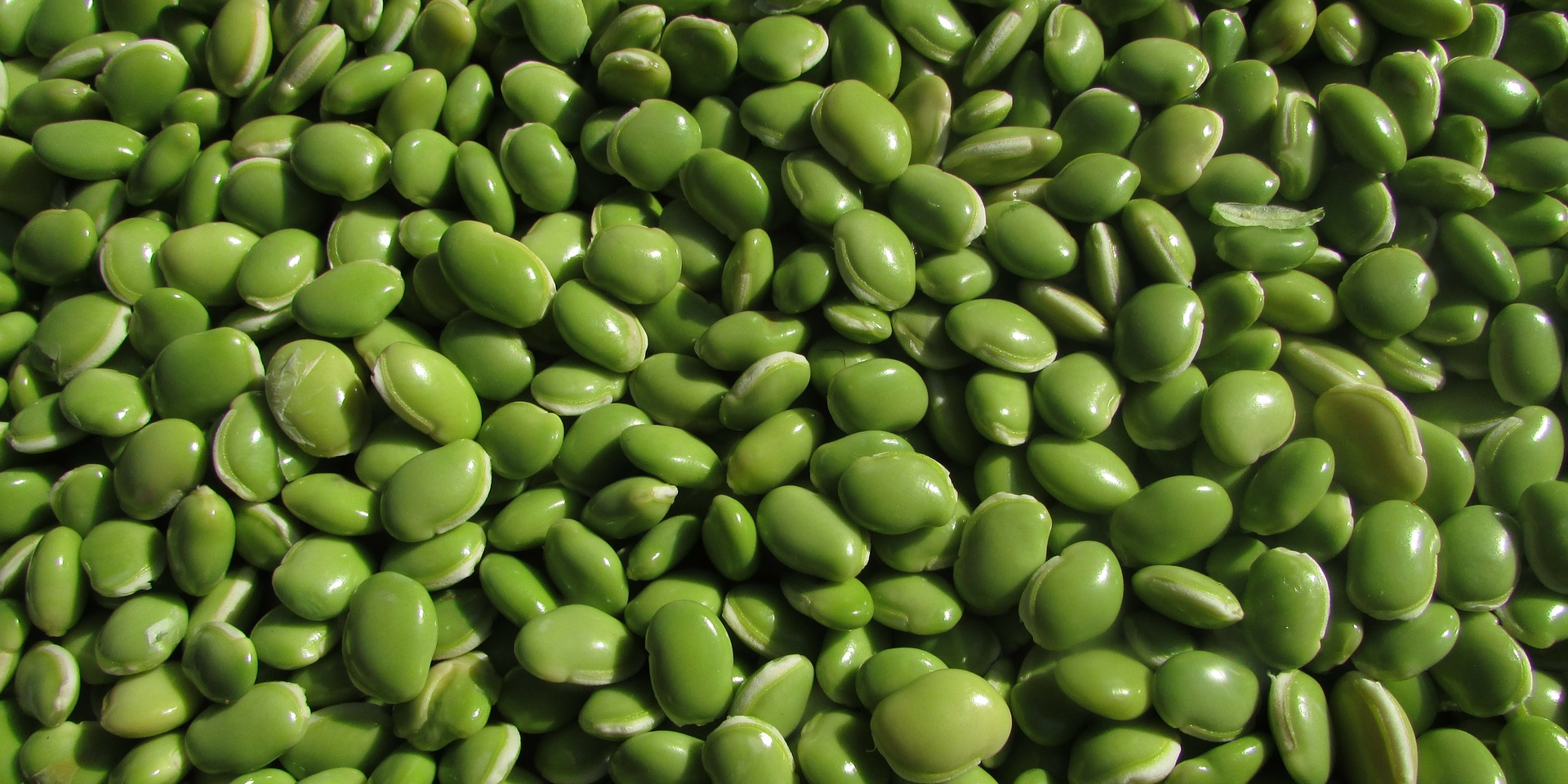 D’où vient l’expression "faire son fayot"