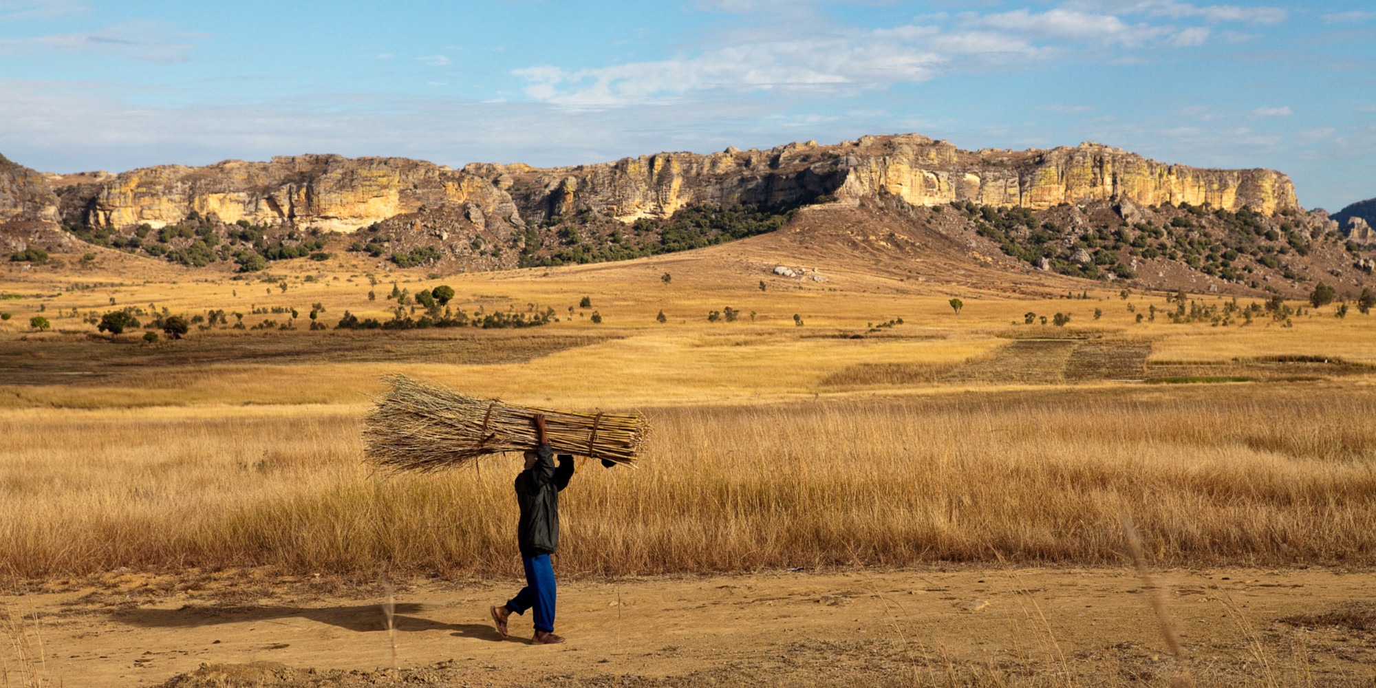 COP 27 : une conférence en Afrique, là où le climat se dérègle le plus