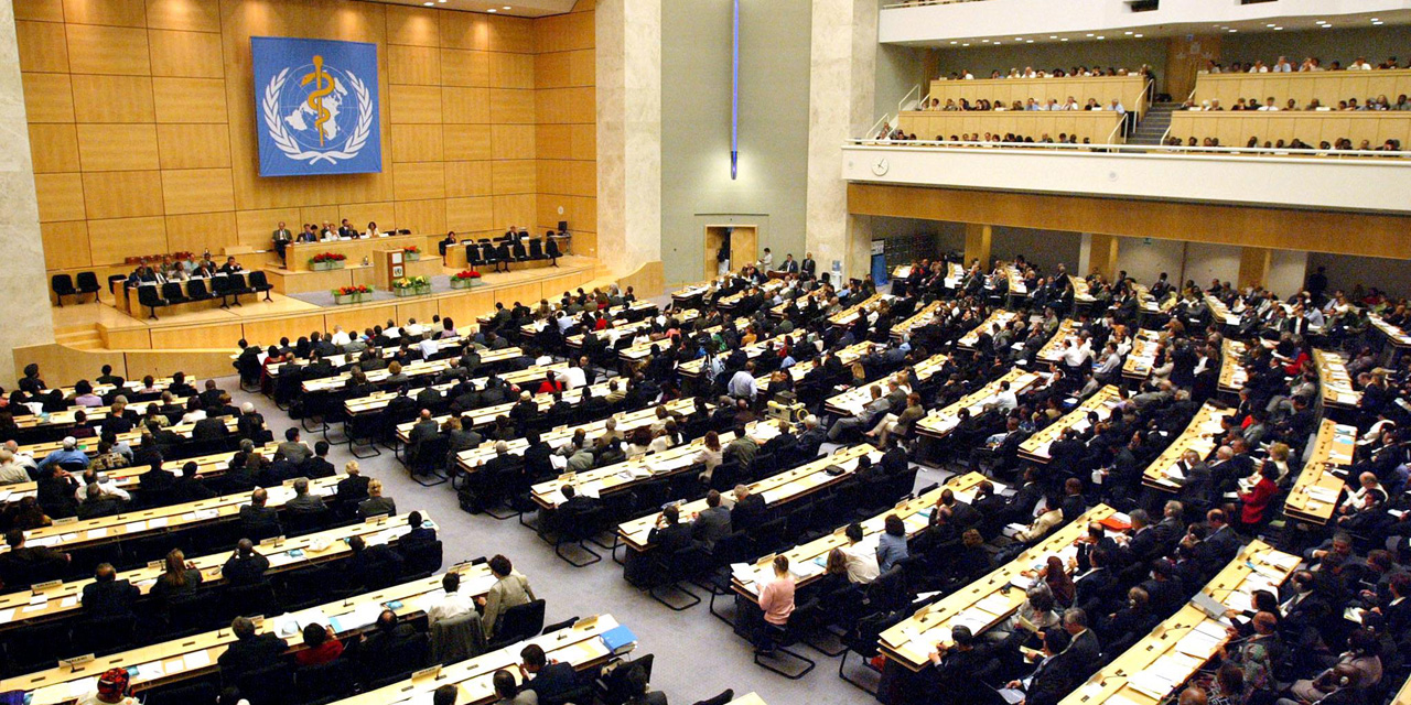 Ebola : l'OMS a mis trop longtemps à réagir, selon l'ONU