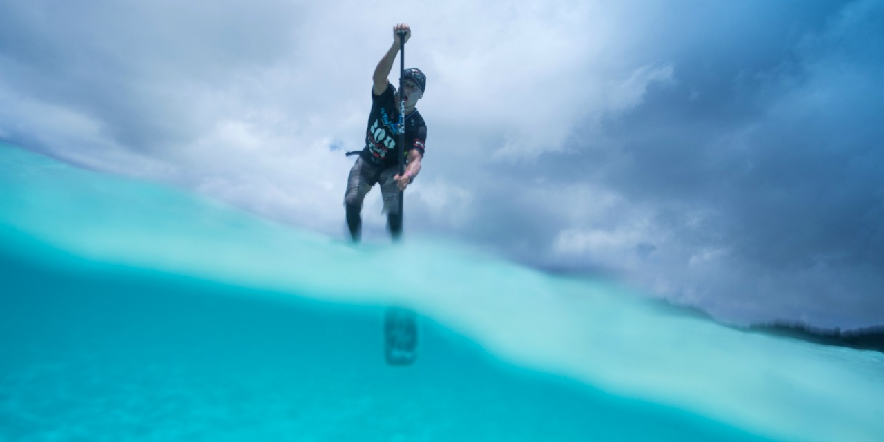 Etats-Unis : un surfeur en paddle percuté par un requin