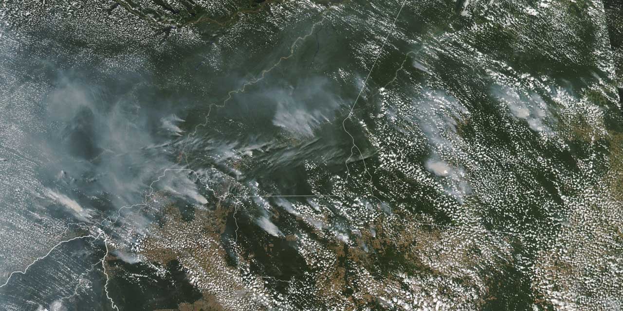 La forêt amazonienne ravagée par des incendies : "un véritable drame ...