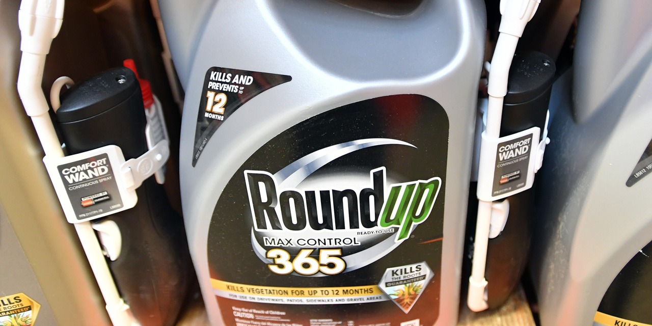 Procès Monsanto aux États-Unis : le Roundup a contribué au cancer du ...