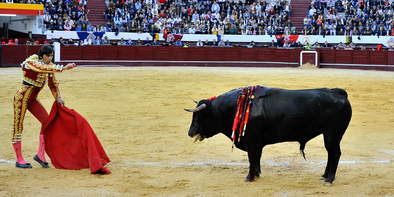Un torero espagnol encorné à la gorge dans une arène de Madrid