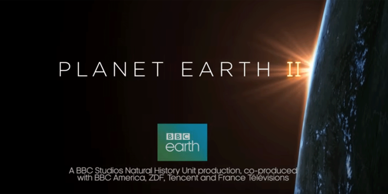 VIDÉOS - Planet Earth, la super production documentaire qui fait sensation