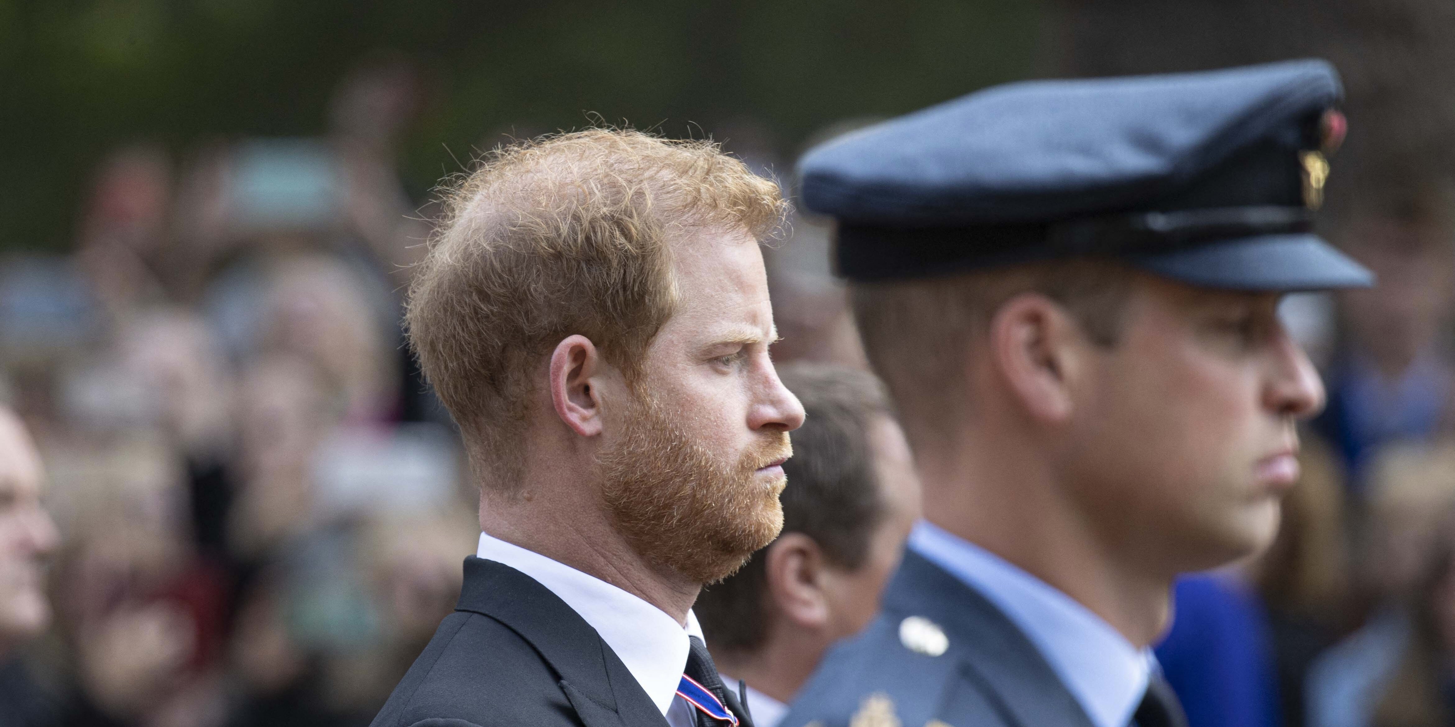 «J'ai atterri sur la gamelle du chien» : le prince Harry accuse son frère William de l’avoir ...