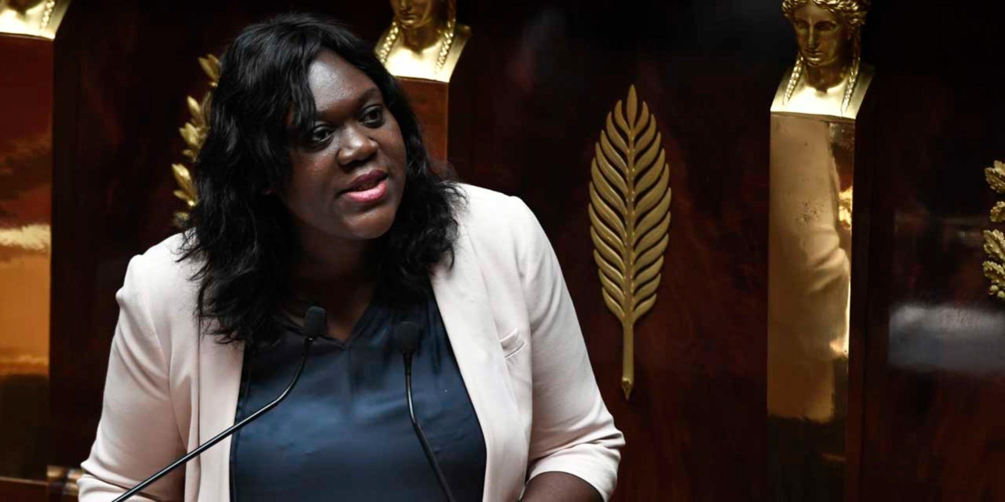 Le Conseil Constitutionnel Censure Le Cœur De La Loi Sur La Lutte
