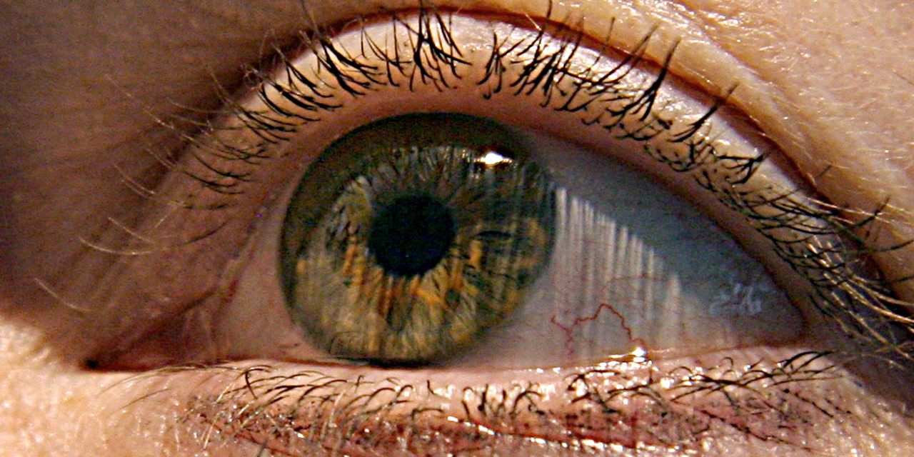 DMLA : une maladie aux symptômes discrets et tardifs