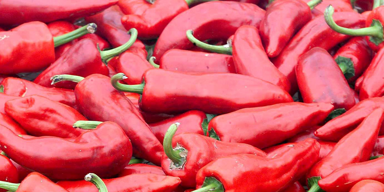 Manger pimenté permettrait de vivre plus longtemps