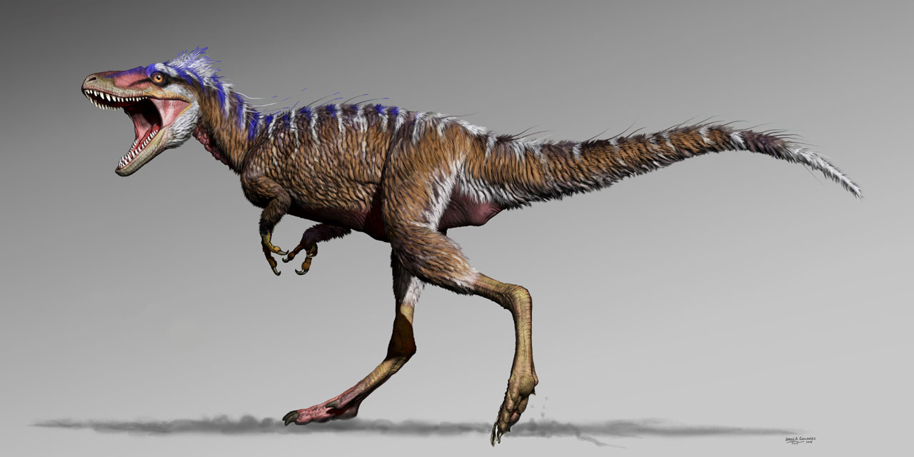 Des chercheurs ont découvert un “petit” T.Rex, le Moros intrepidus