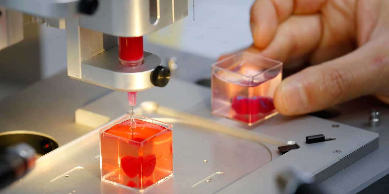 Des scientifiques présentent un prototype de coeur en 3D à partir de ...