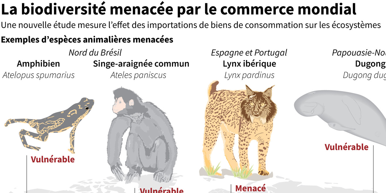 Le commerce mondial, menace croissante pour les espèces