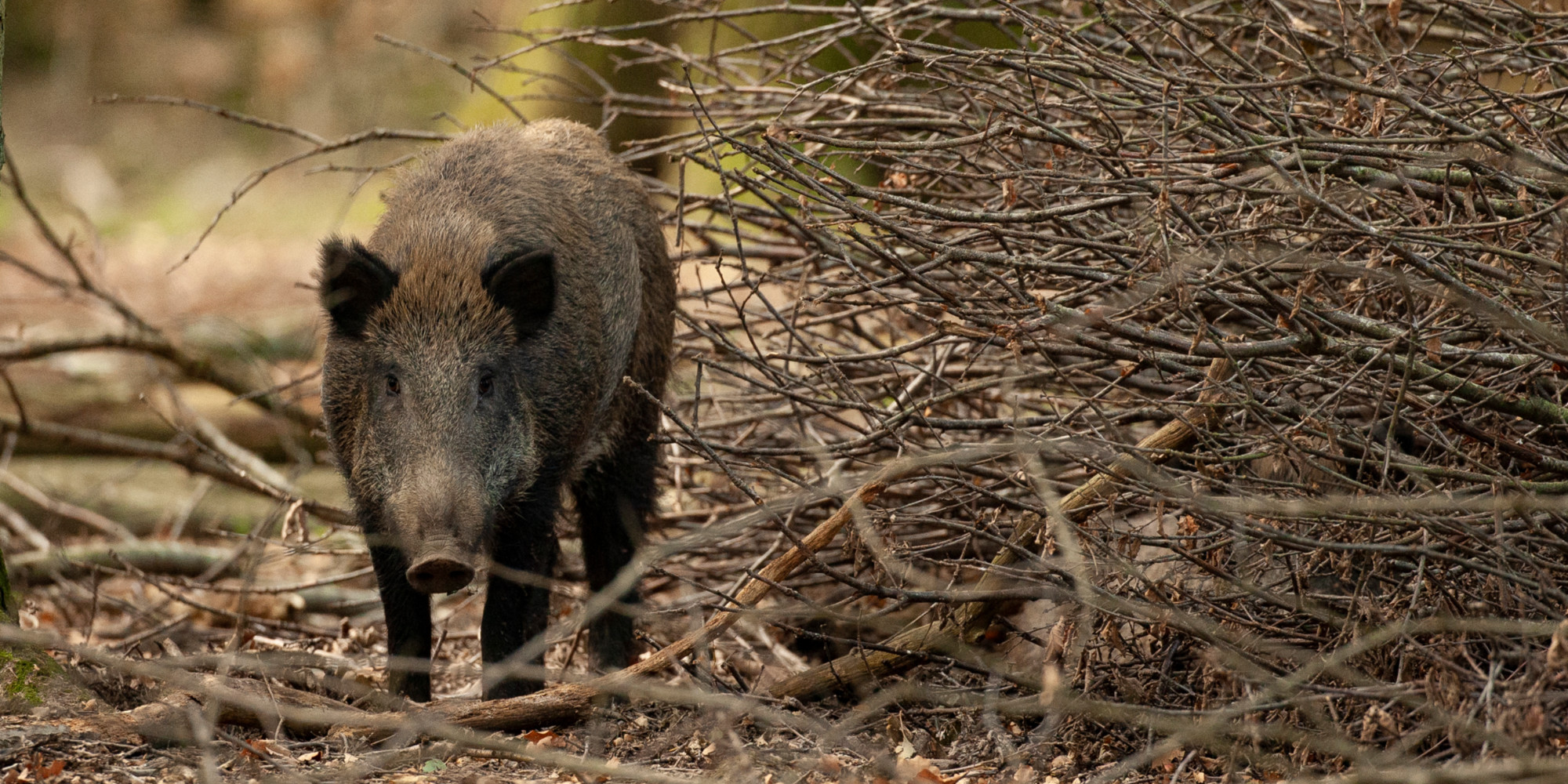 «C'est intolérable» : des habitants des Bouches-du-Rhône découvrent un ...