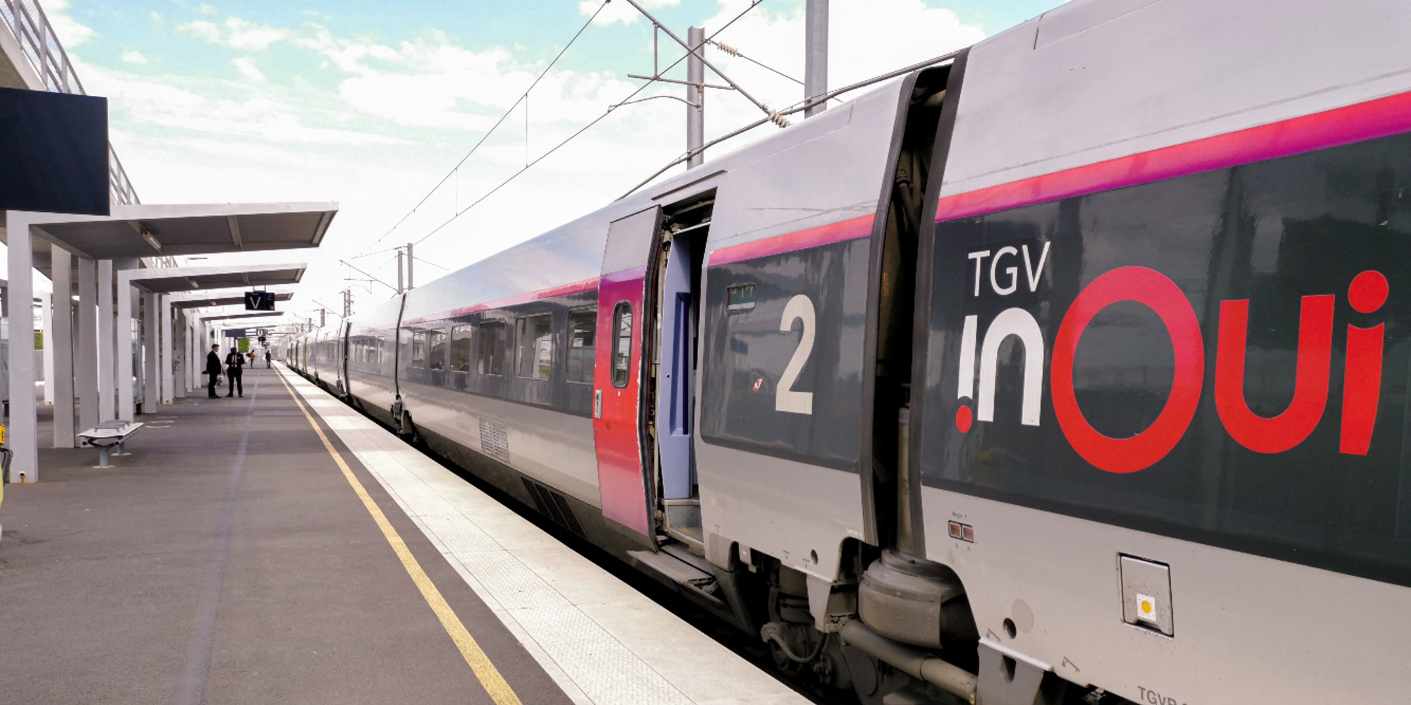 Chat écrasé par un TGV : pas de procès devant un tribunal correctionnel ...