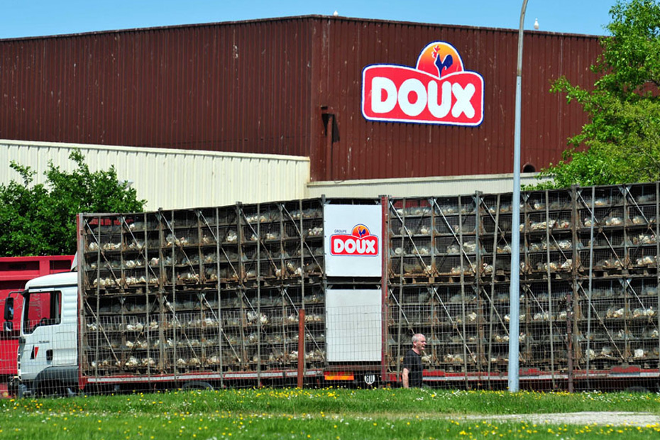 Doux : cinq offres partielles déposées