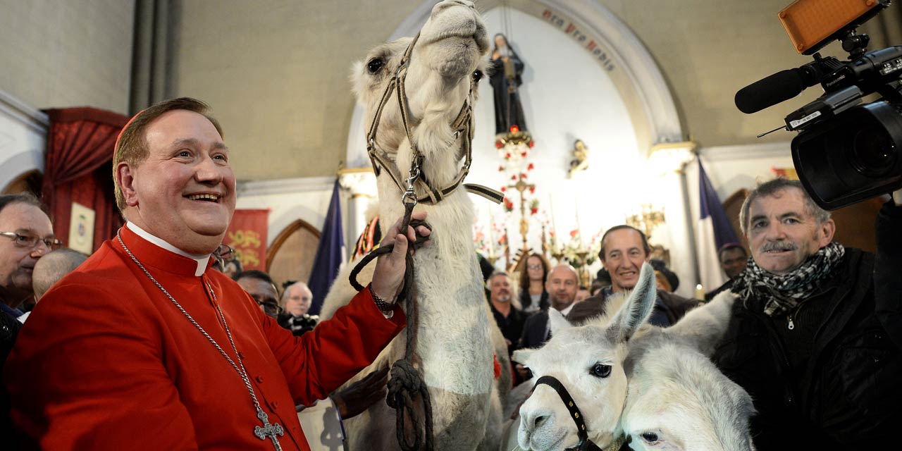 Evacuation de Sainte-Rita, l'église parisienne des animaux