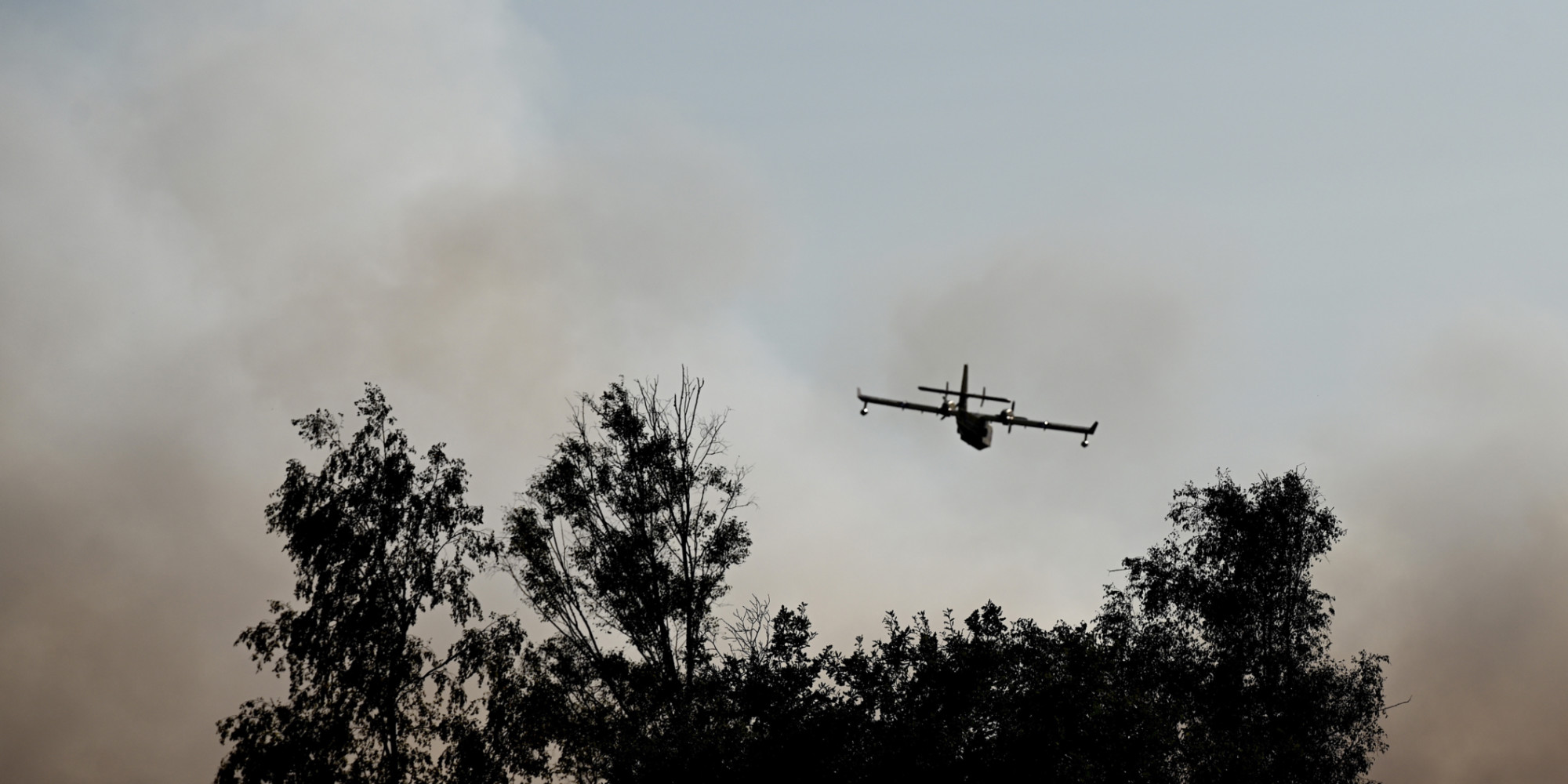 Incendie de forêt dans l'Aude : 250 hectares détruits et 170 personnes ...