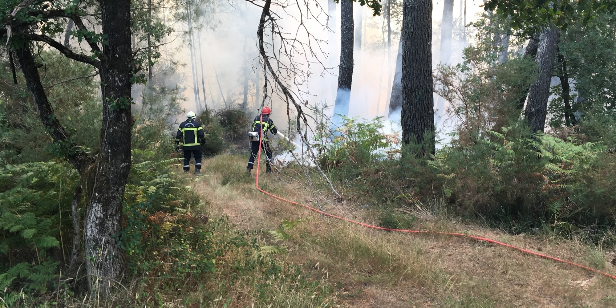 Fires In Gironde The Fear Of A Dark Day With Unfavorable Weather Conditions Teller Report fires-in-gironde-the-fear-of-a-dark-day-with-unfavorable-weather-conditions-teller-report
