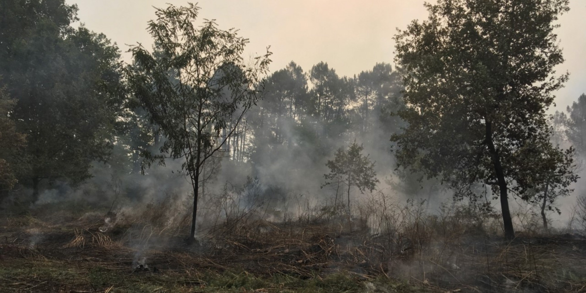 Incendies En Gironde «le Feu Reprend Annonce Le Maire De Landiras