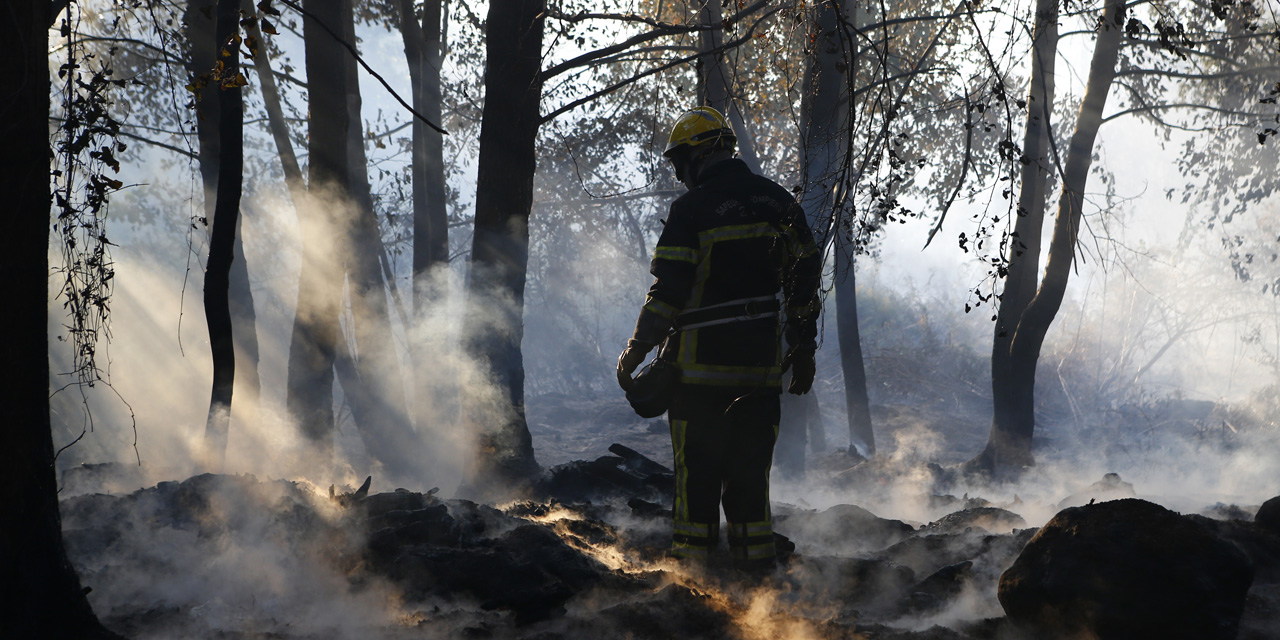 Incendies : quel profil pour les pyromanes