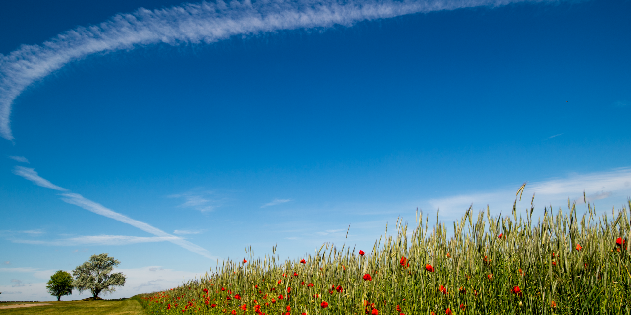 La météo du jeudi 17 mai : ensoleillé en général, instable sur l'est du ...