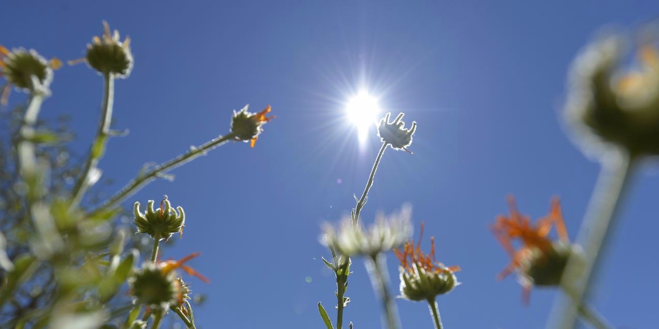 La météo du lundi 24 avril : un ciel ensoleillé mais des nuages sur le ...