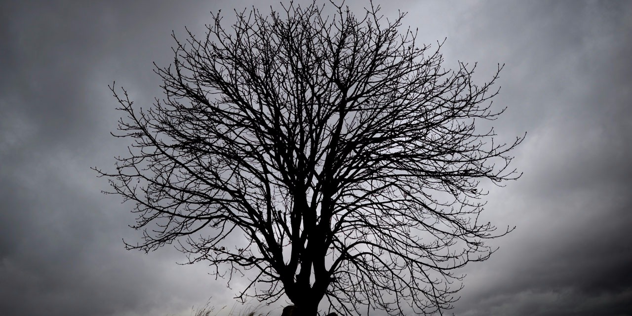 Le temps de lundi 26 décembre : temps gris mais doux