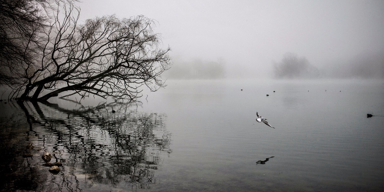 Le temps du lundi 20 février : gris et pluvieux