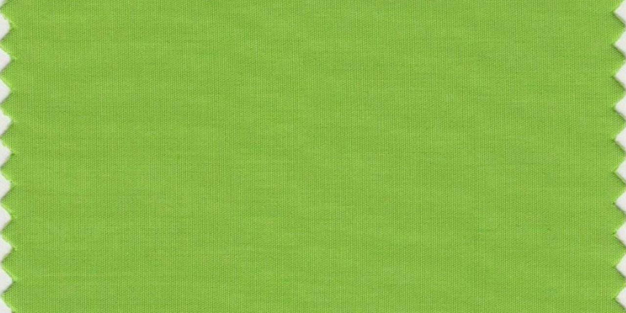 Le vert "Greenery" a été désigné couleur de l'année 2017 par Pantone