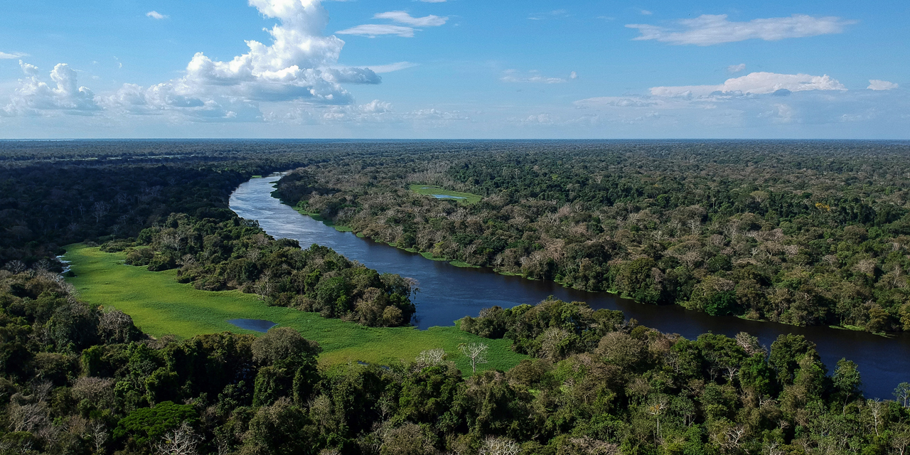 Les espaces sauvages se sont considérablement réduits en un siècle